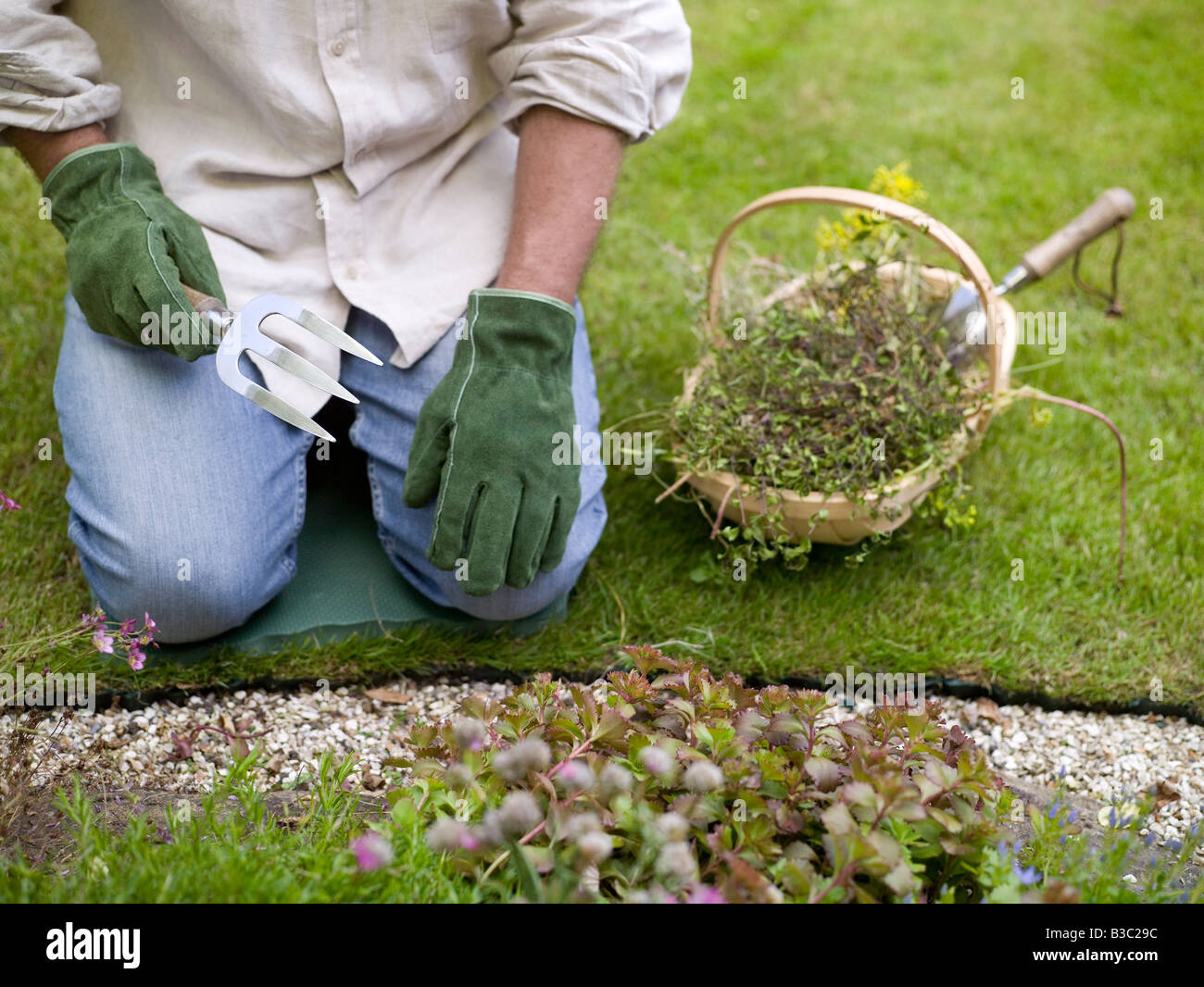 A man planting flowers in a garden Stock Photo - Alamy