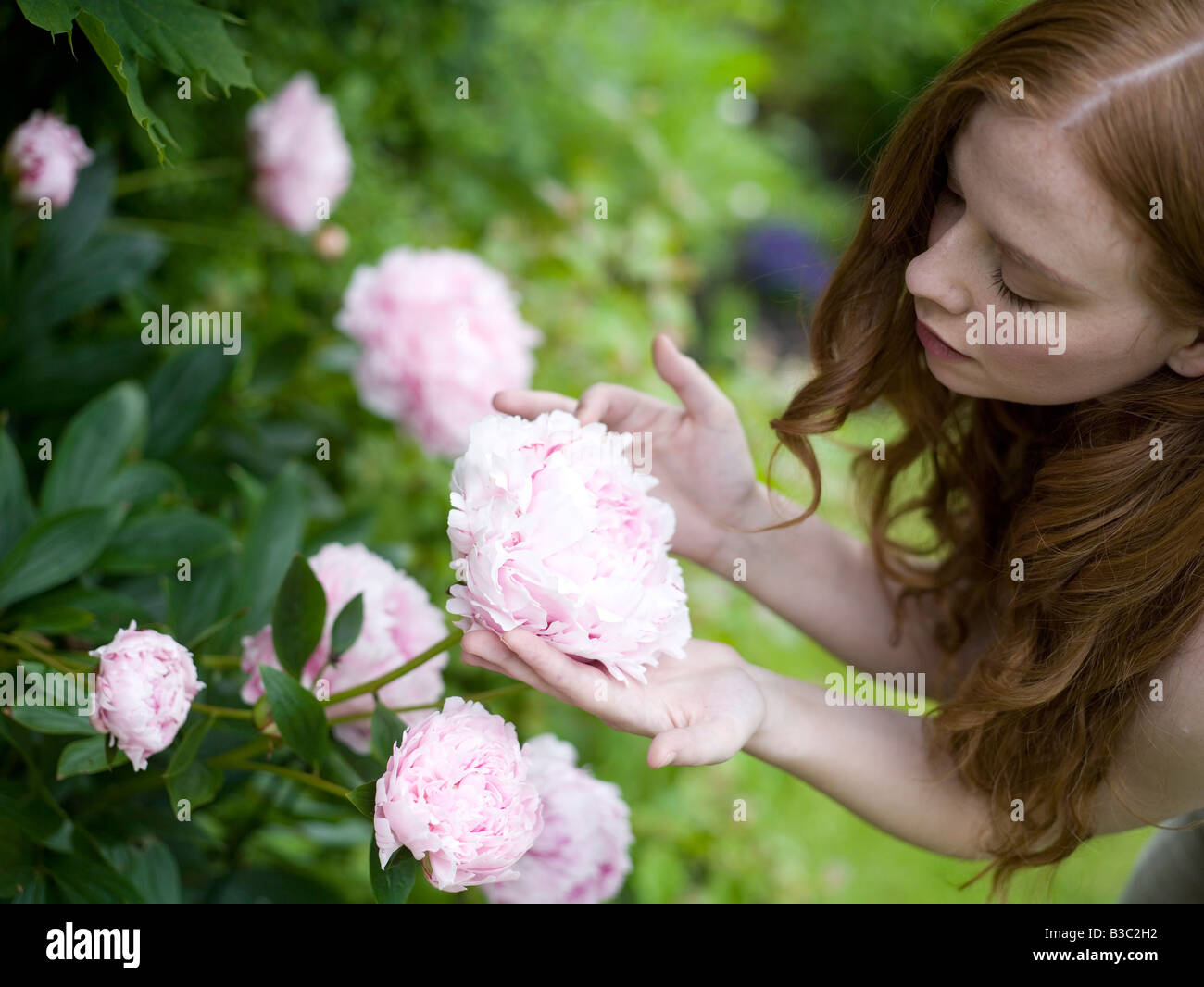 A woman admiring her flowers in a garden Stock Photo - Alamy