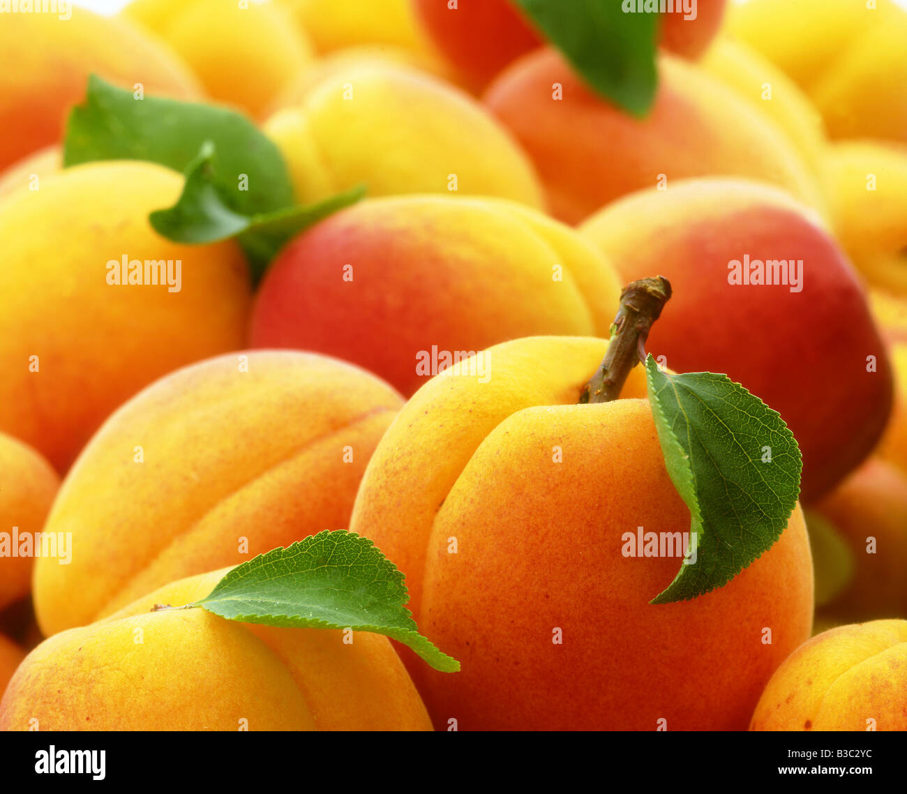 Soft apricots hi-res stock photography and images - Alamy