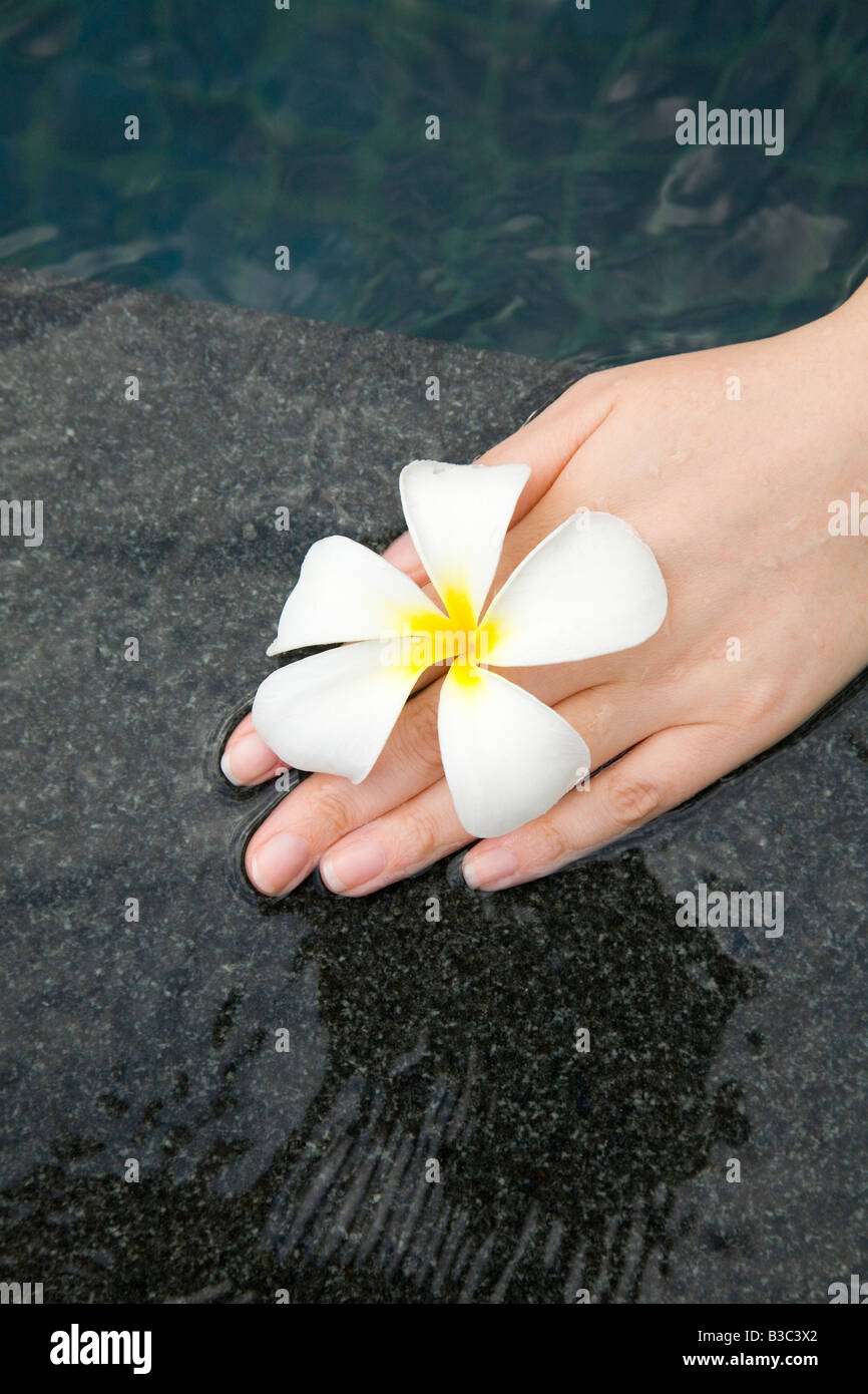 Single exotic flower held in womans hand Stock Photo - Alamy