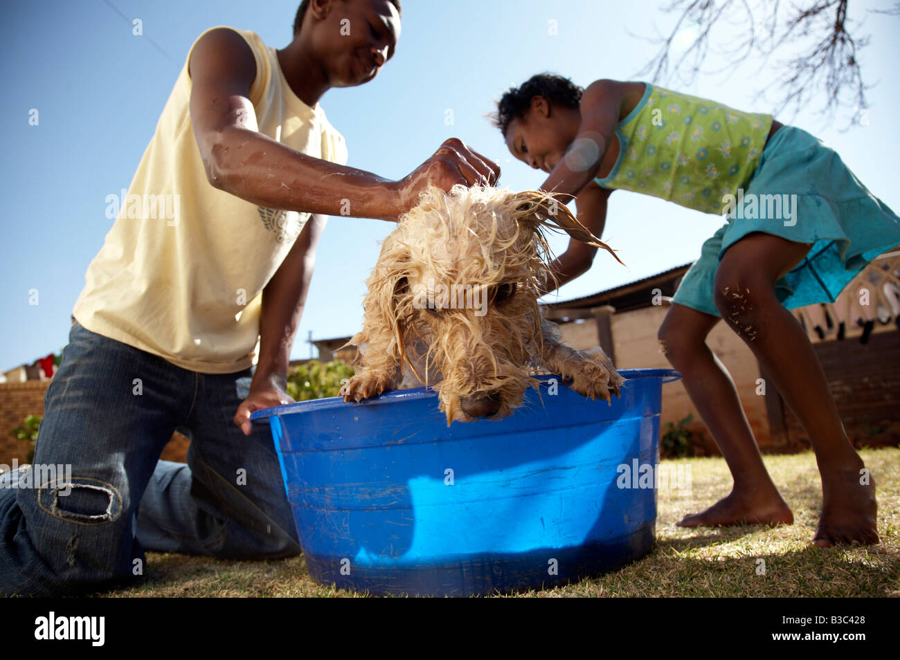 Two boys washing dog hi-res stock photography and images - Alamy