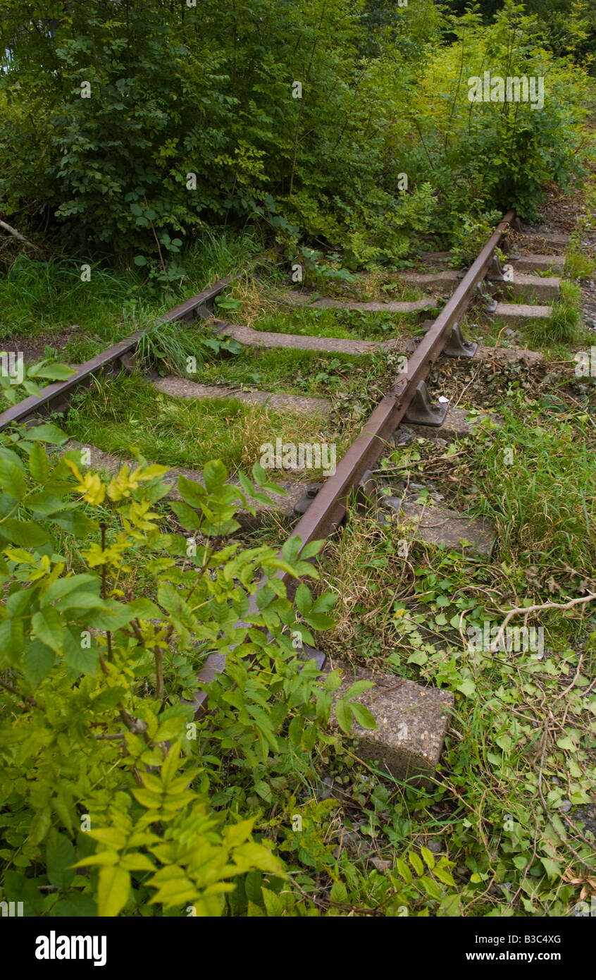 Overgrown disused railway line UK Stock Photo - Alamy