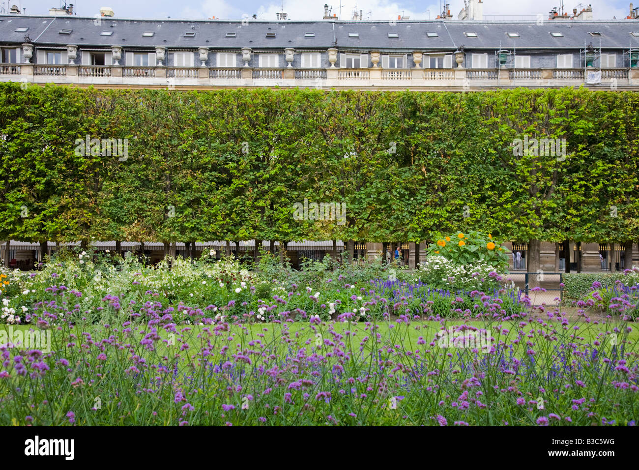 Parisian chic hi-res stock photography and images - Alamy