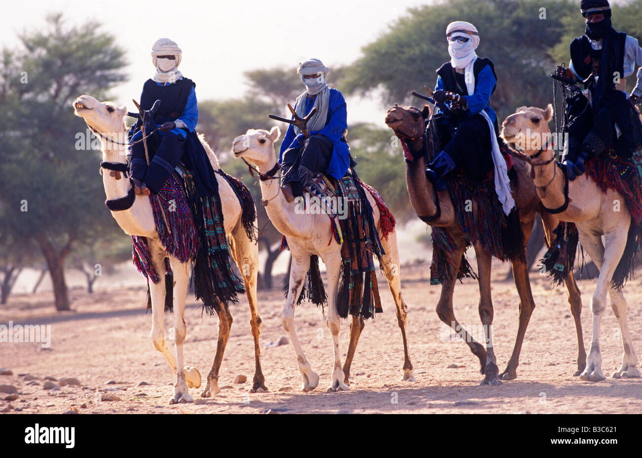 Niger, Timia Oasis. Tuareg riders preparing to race their camels as ...