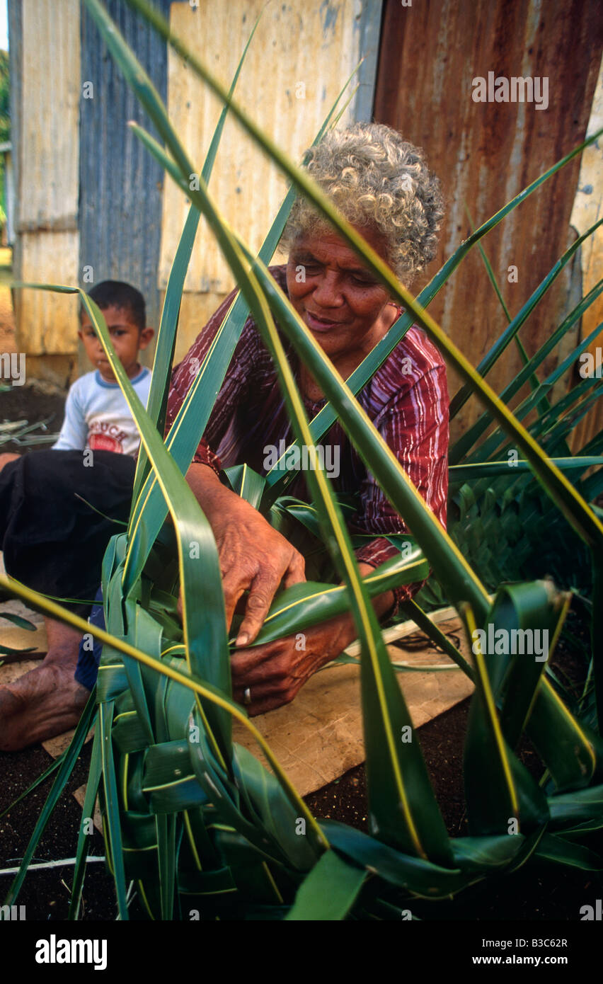 Pacific Islands, Kingdom of Tonga. Pandanus tectorius is a species of ...