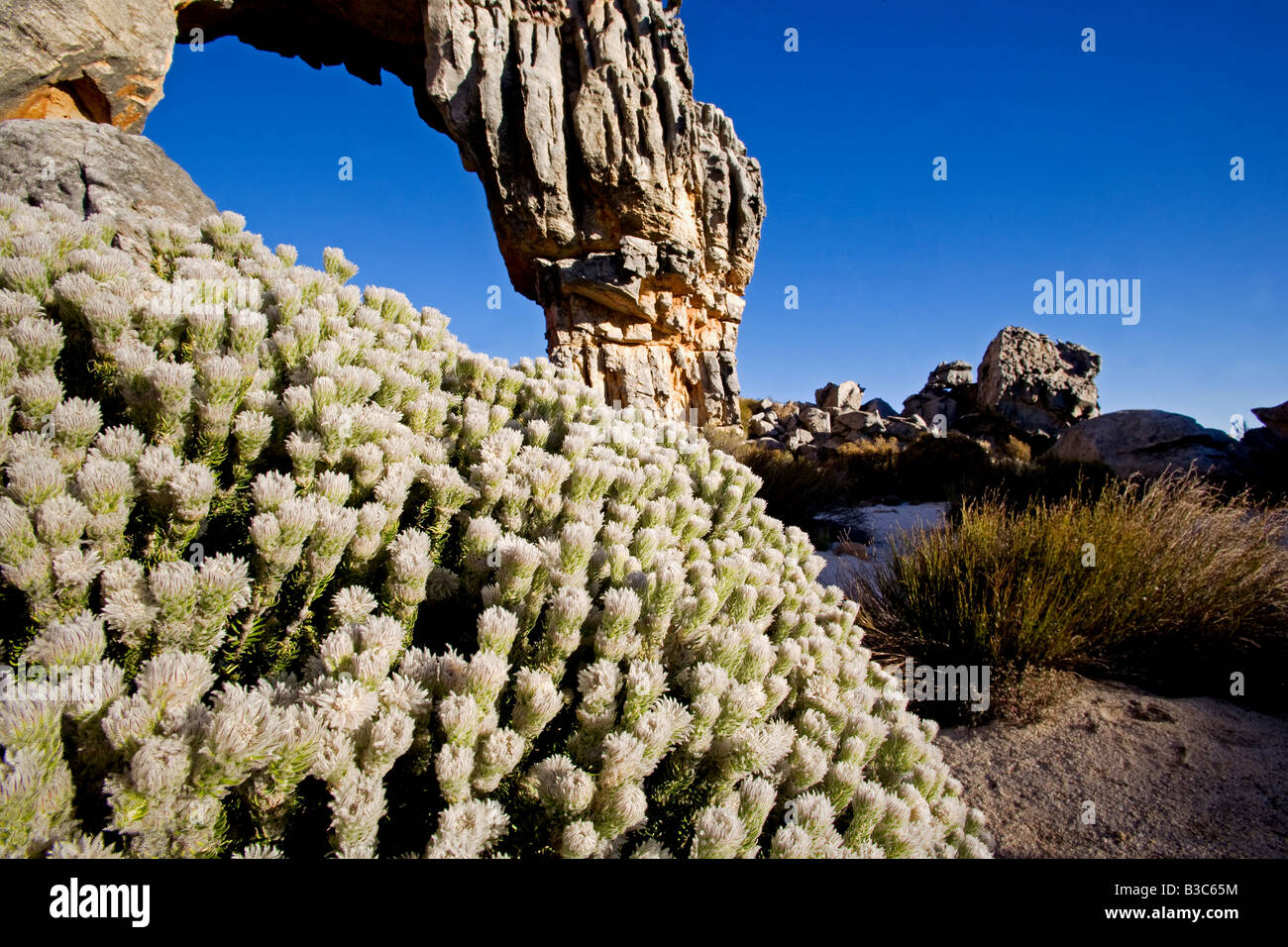 South Africa, Western Cape, Cederberg Conservancy. Wolfberg Arch, a ...
