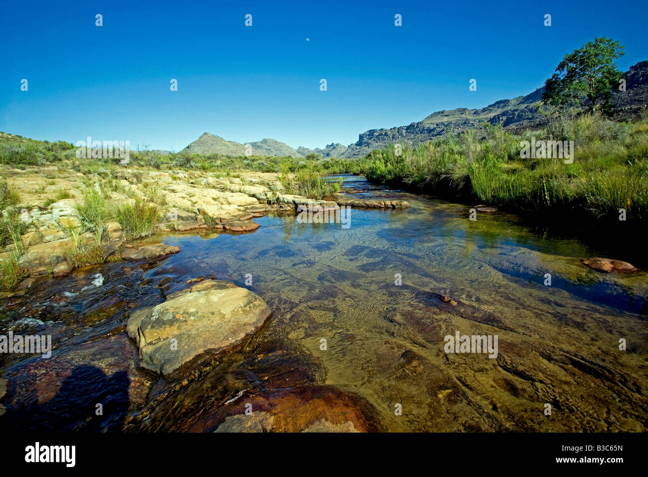 South Africa, Western Cape, Cederberg Conservancy. The altitude of the ...