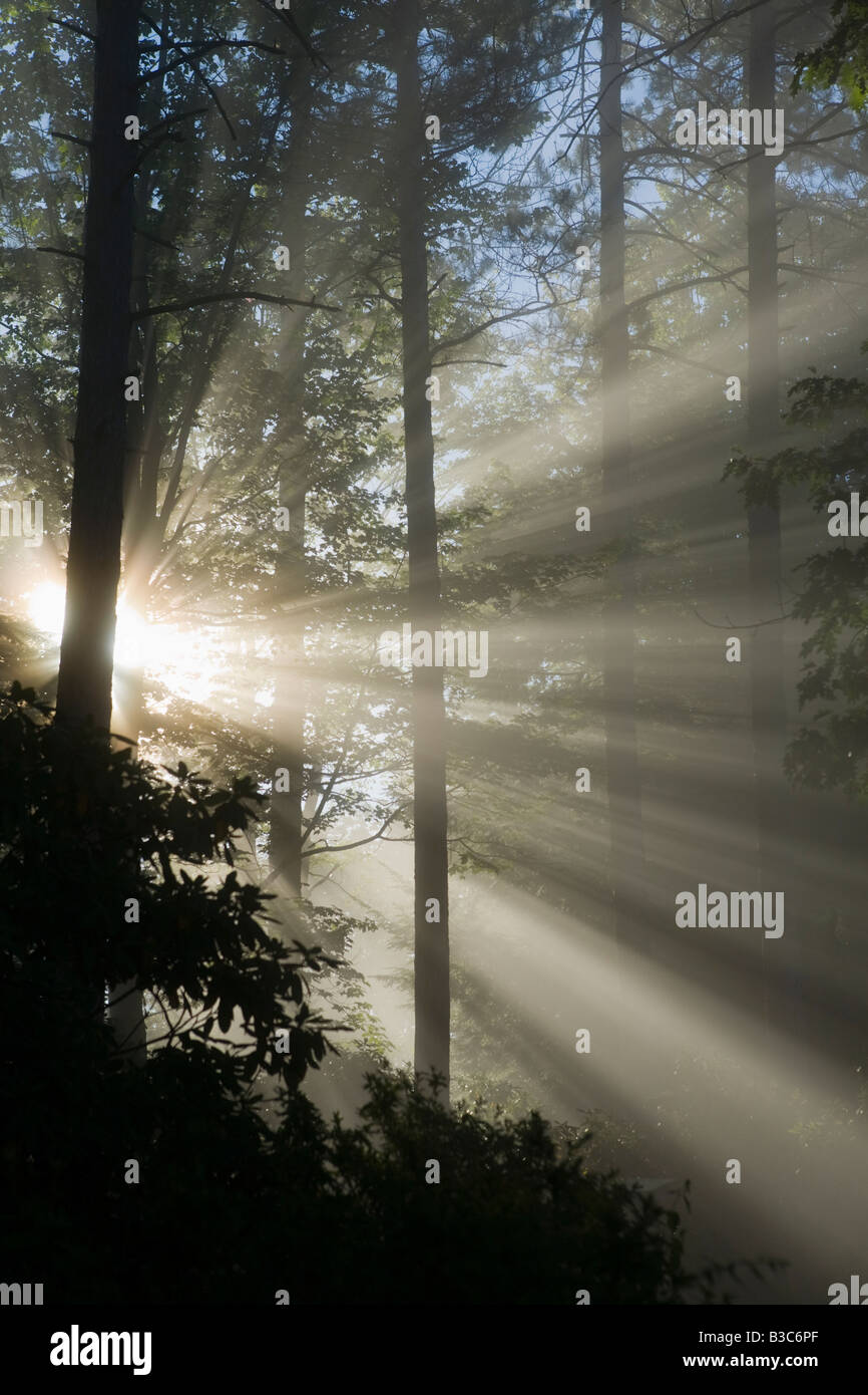 Sun rising on Turkey Path Leonard Harrison State Park Grand Canyon of ...