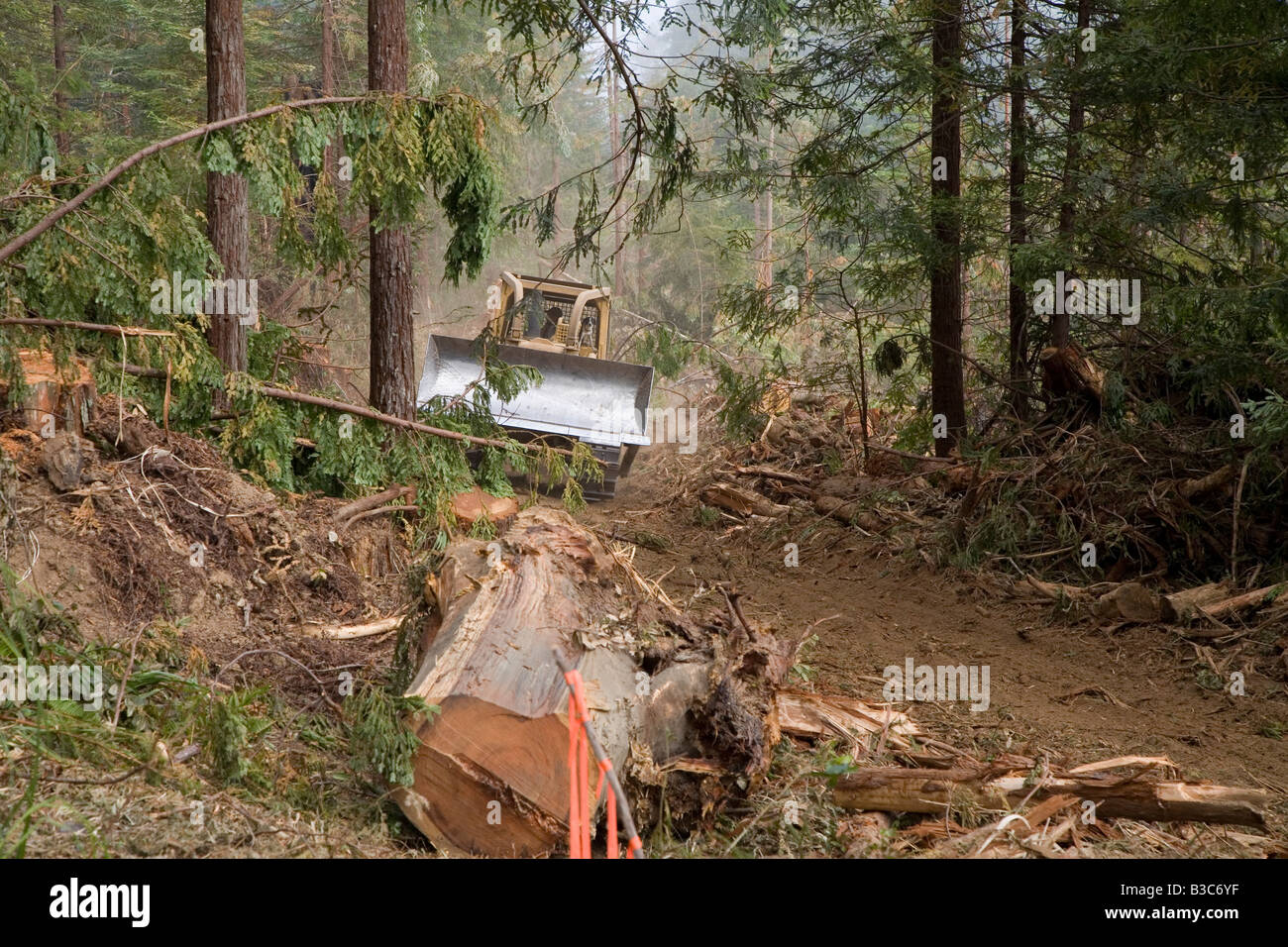 Fort Bragg California Logging of redwoods in northern California A ...