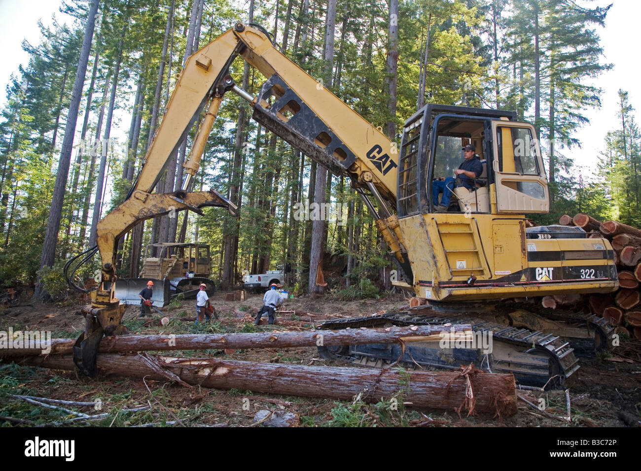 Logging industry redwood trees hi-res stock photography and images - Alamy