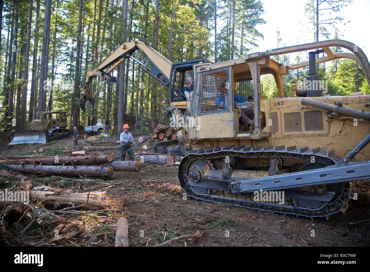 Logging of Redwoods in Northern California Stock Photo - Alamy