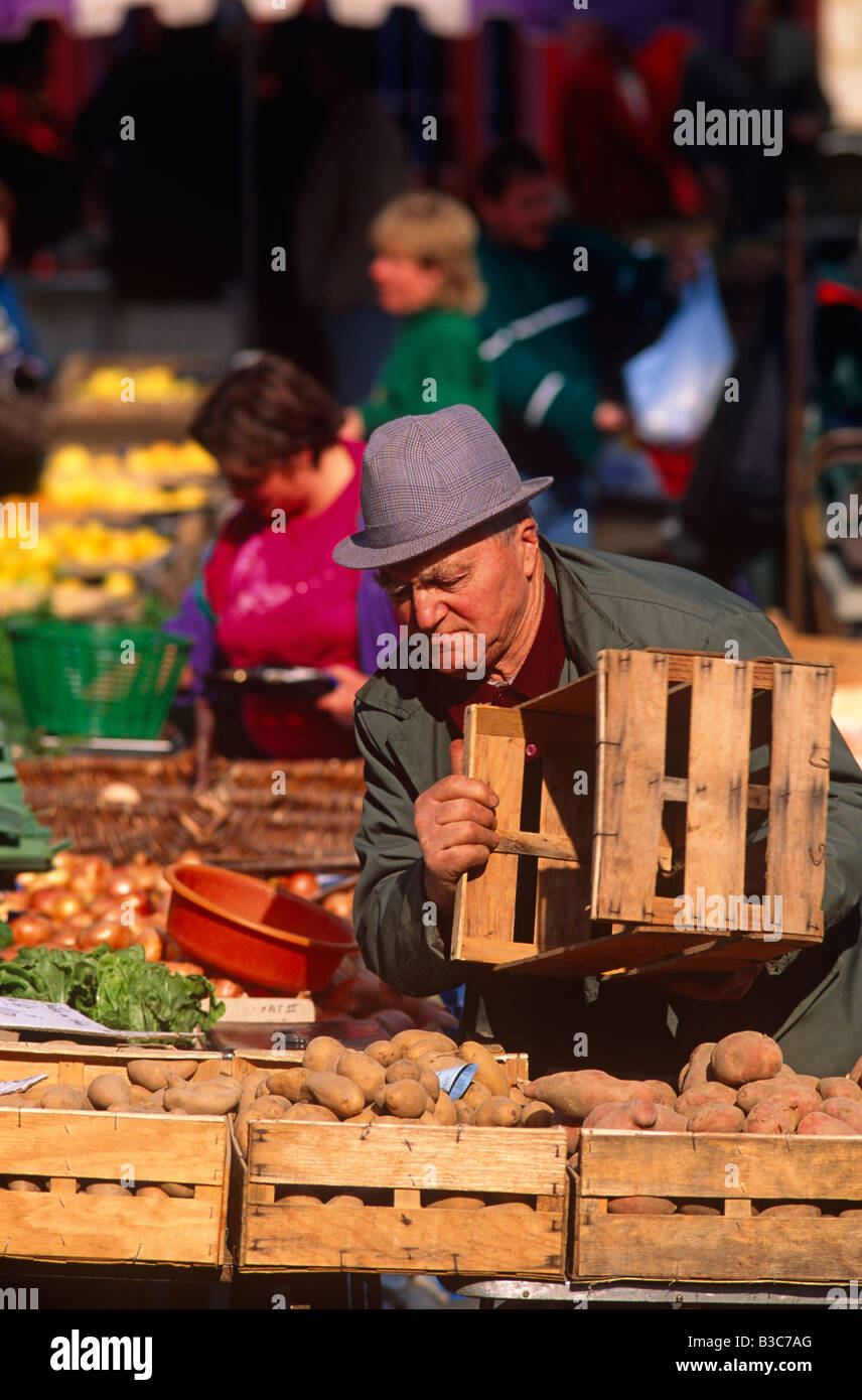 France, Loire Valley, Saumur. Saturday fruit & vegetable market in ...