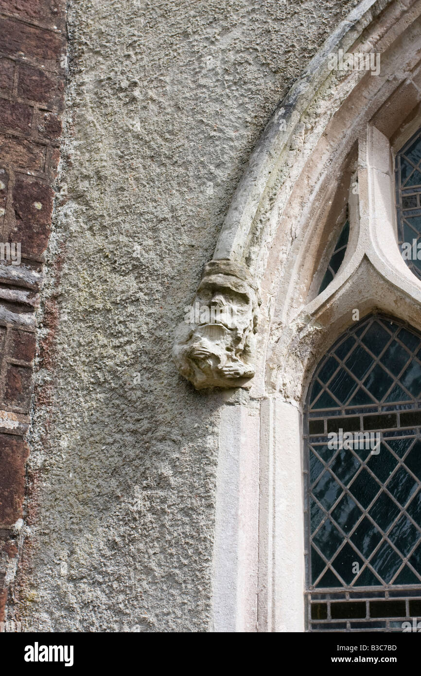 Gargoyle detail St Mary and St Gabriel, Stoke Gabriel, Devon Stock ...