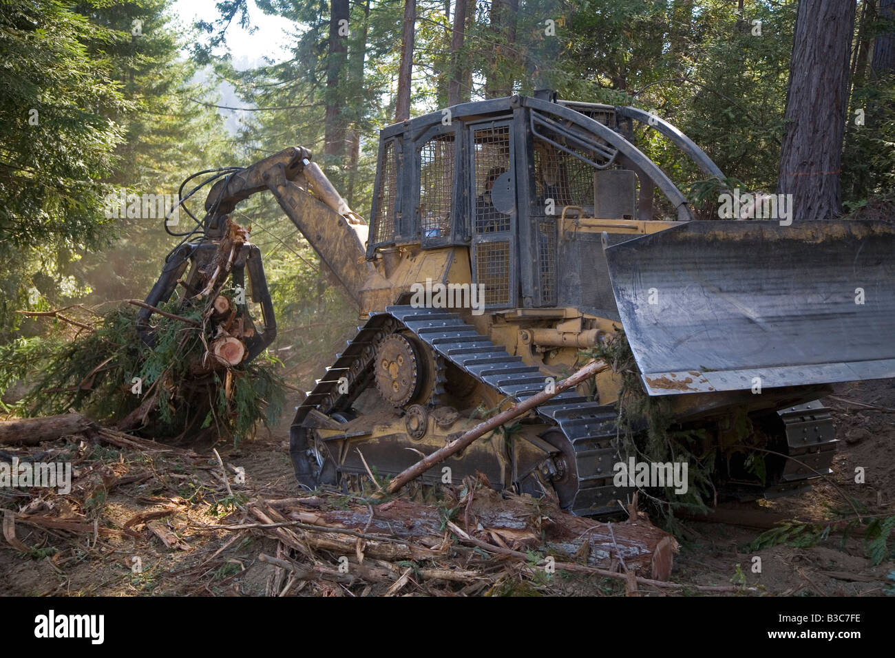 Logging redwoods in northern california hi-res stock photography and ...