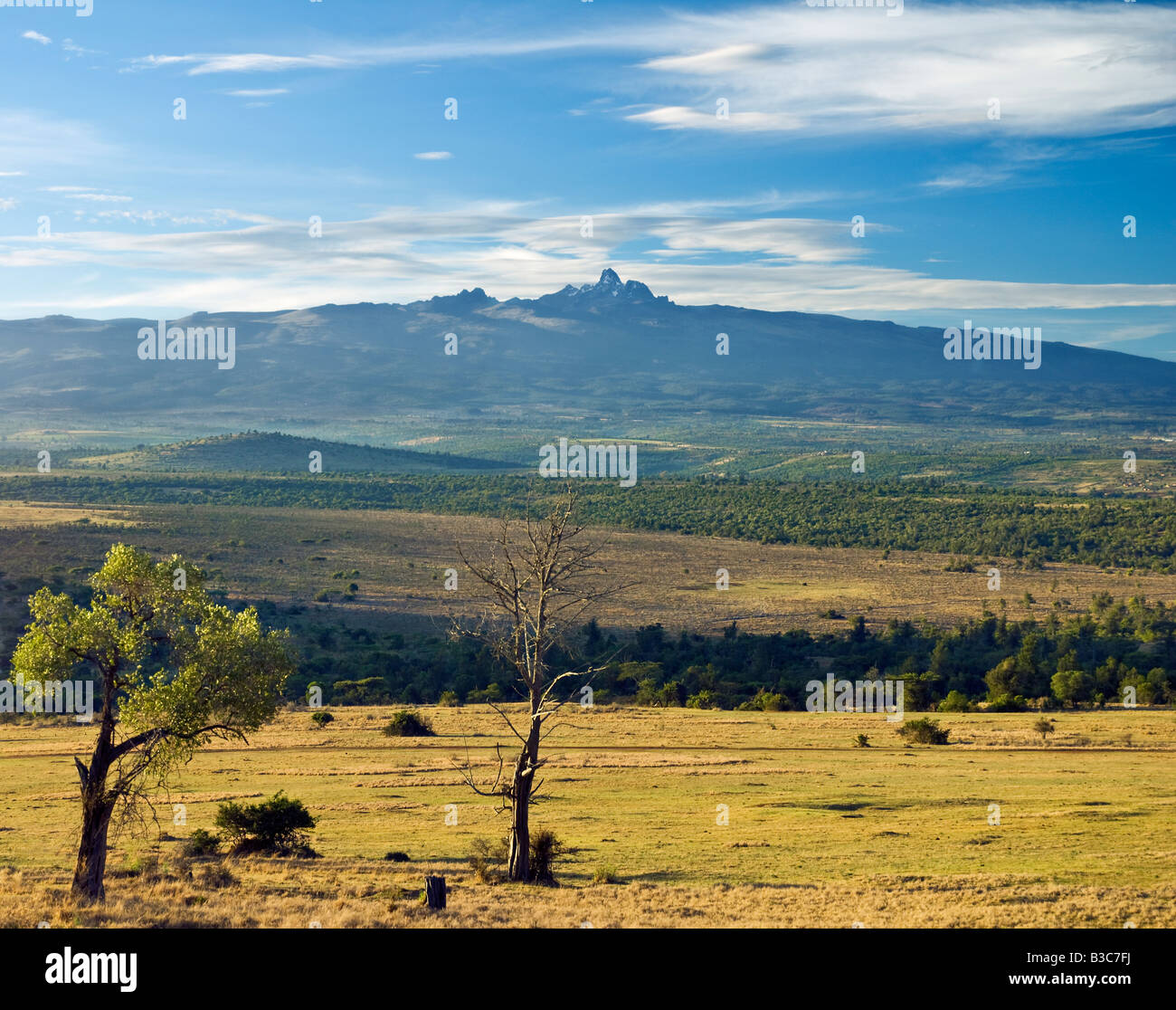 Nanyuki hi-res stock photography and images - Alamy