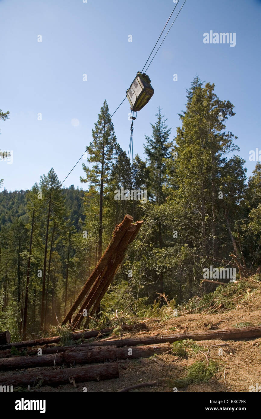 Logging industry redwood trees hi-res stock photography and images - Alamy