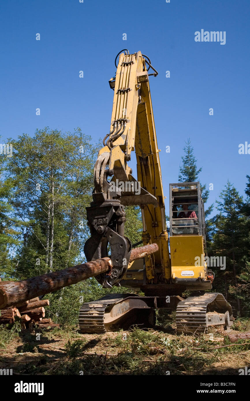 Logging Redwoods In Northern California Stock Photos & Logging Redwoods ...