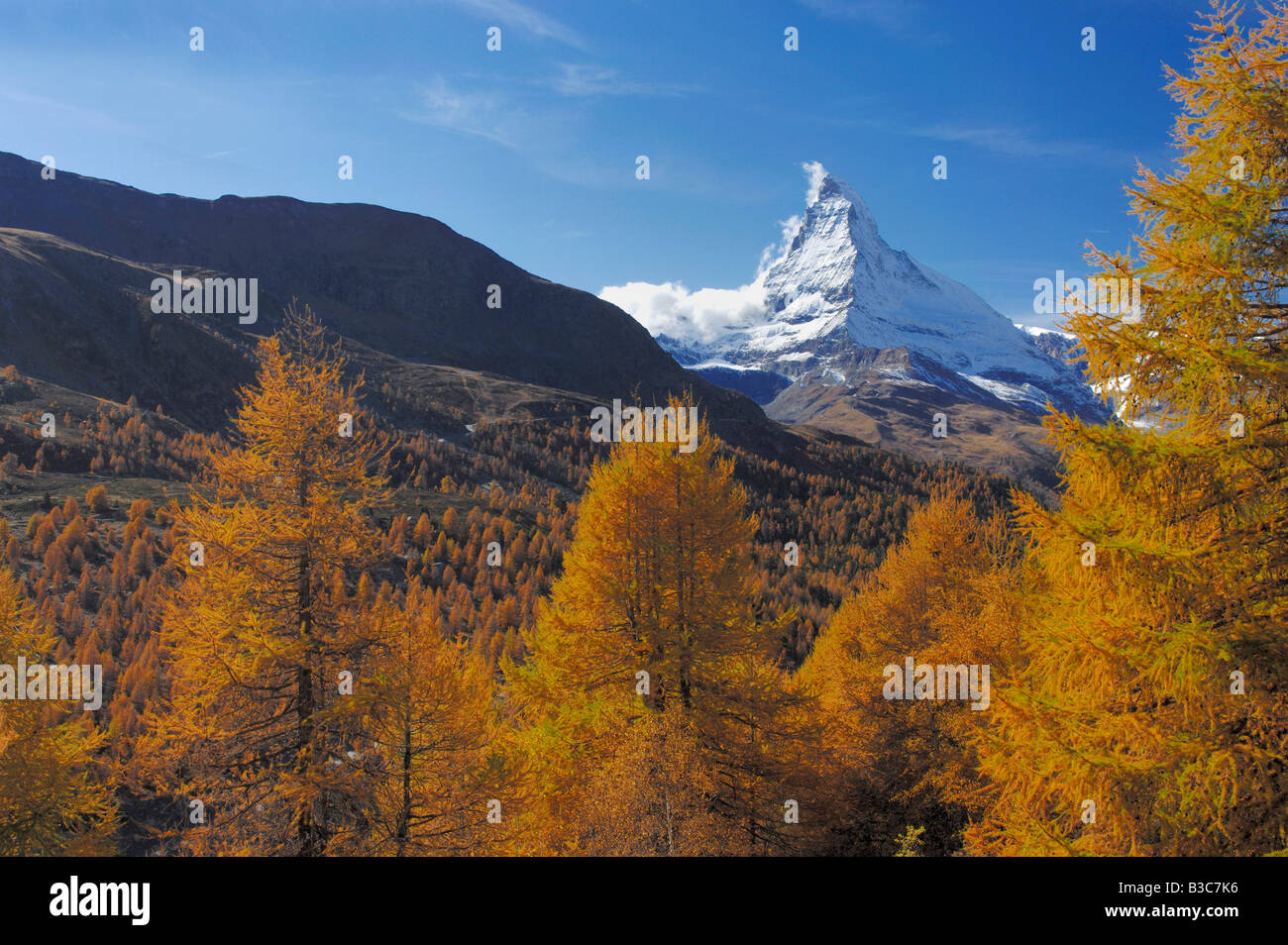 Matterhorn with larch trees in autumn, Zermatt, Valais, Switzerland ...