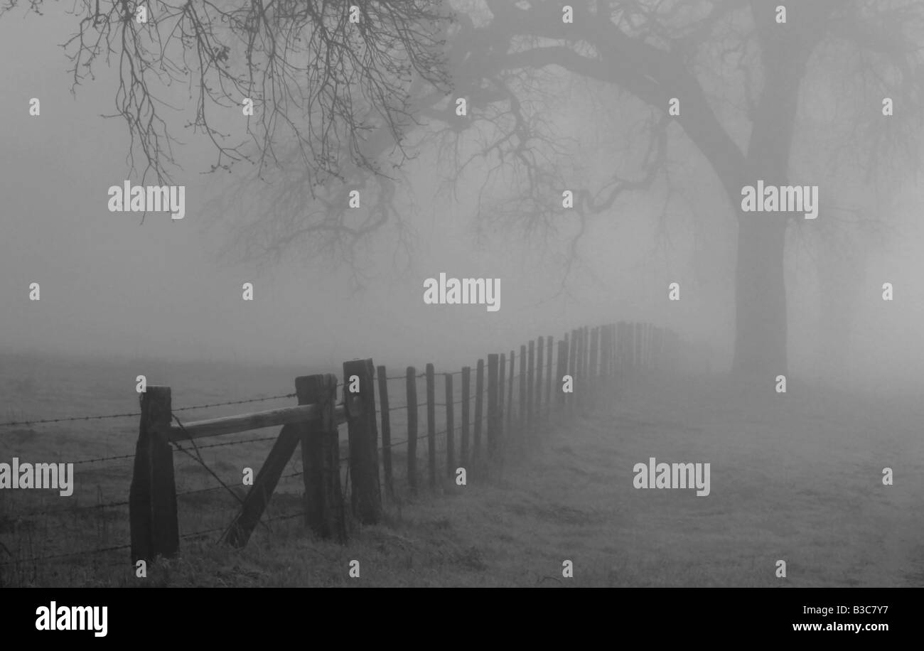 Early morning in san Black and White Stock Photos & Images - Alamy