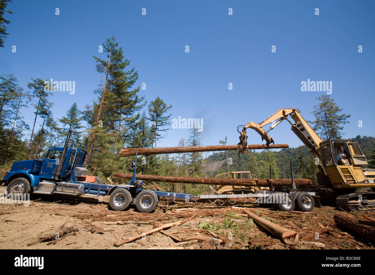 Logging of Redwoods in Northern California Stock Photo - Alamy