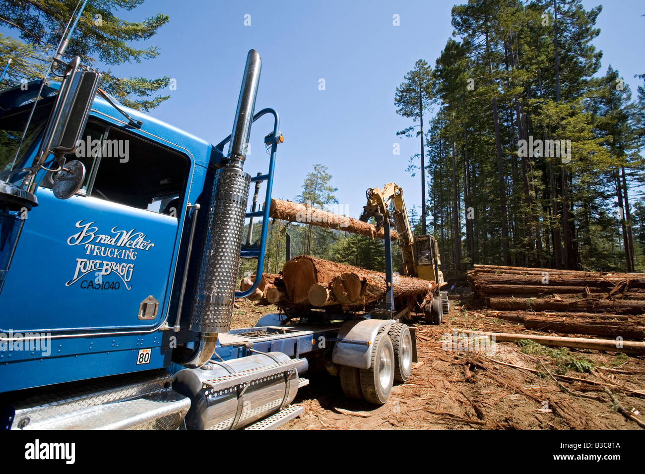 Redwood log hi-res stock photography and images - Alamy