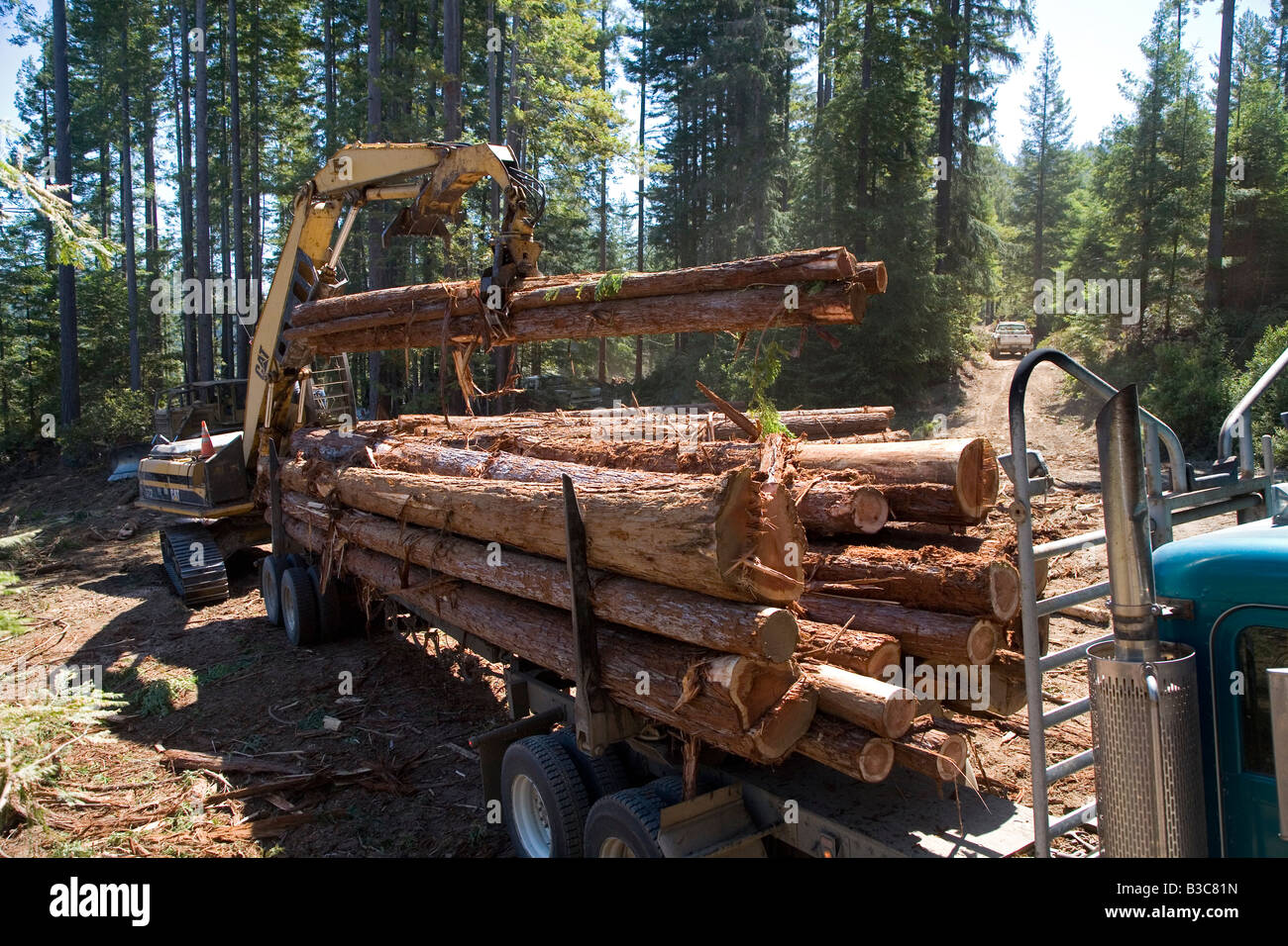 Logging truck usa hi-res stock photography and images - Alamy