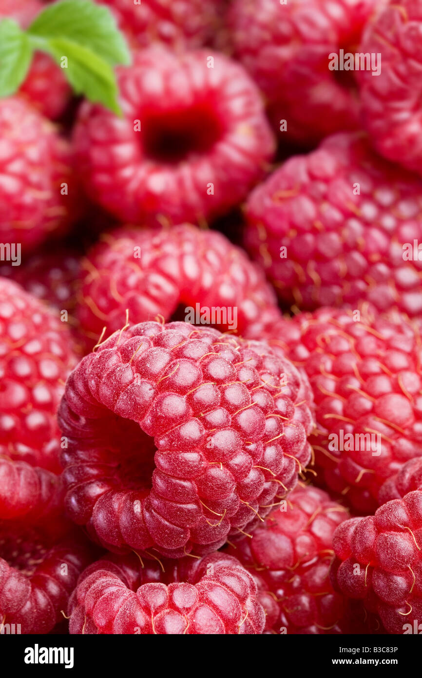 The raspberry hi-res stock photography and images - Alamy