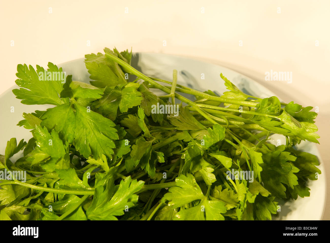 a plate of "flat leaf parsley Stock Photo - Alamy