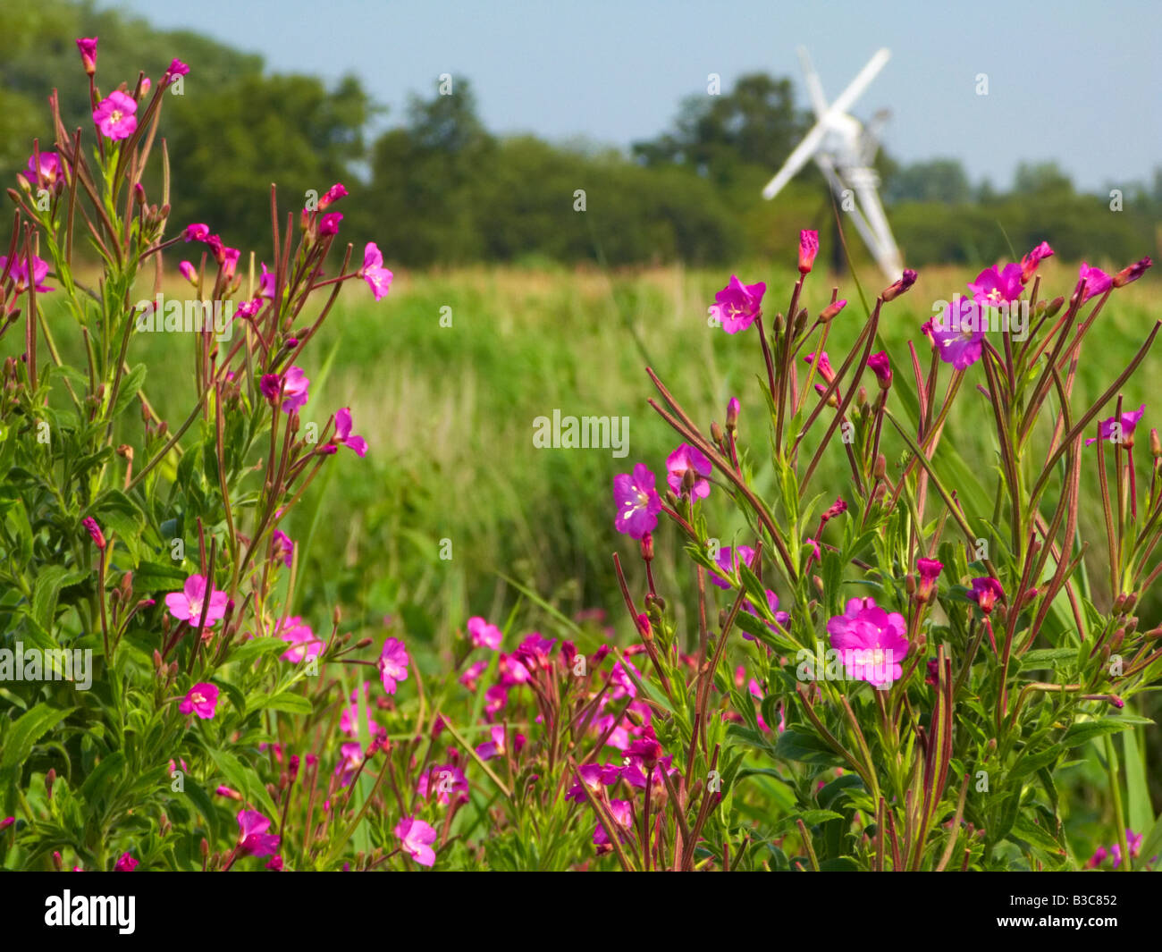 How Hill Norfolk Broads High Resolution Stock Photography and Images ...