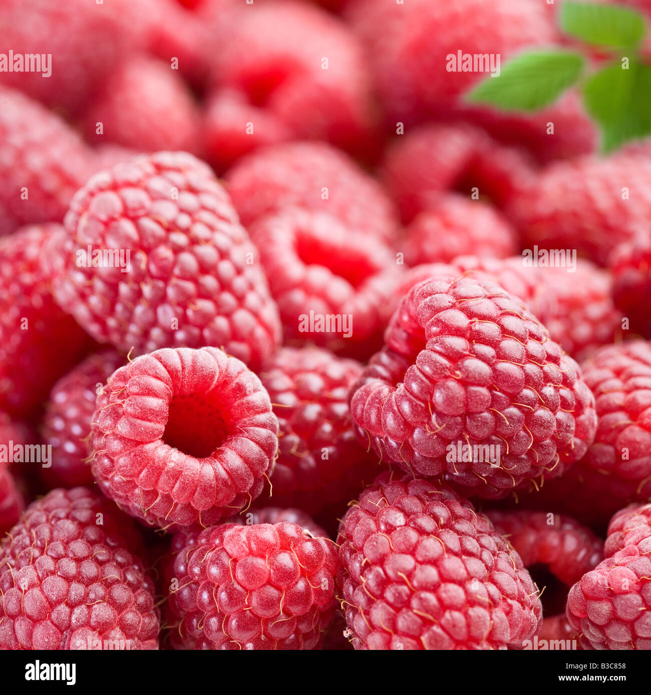 The raspberry hi-res stock photography and images - Alamy