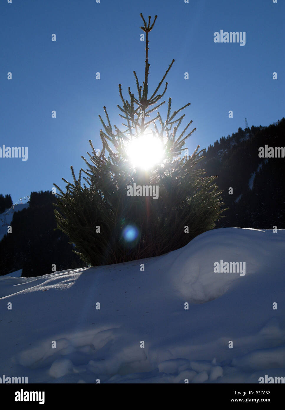 Christmas tree meribel hi-res stock photography and images - Alamy