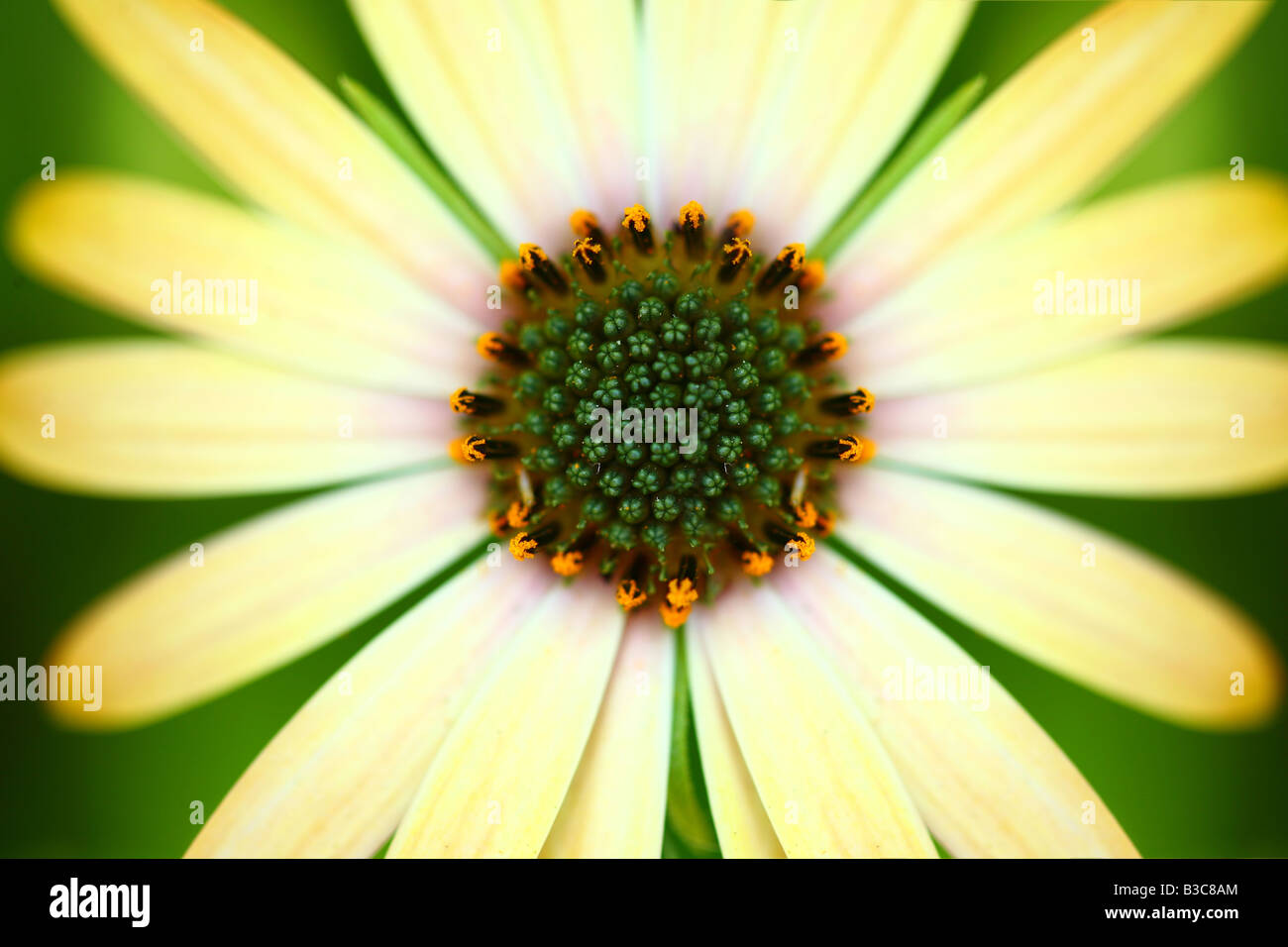 Depth backgrounds hi-res stock photography and images - Alamy