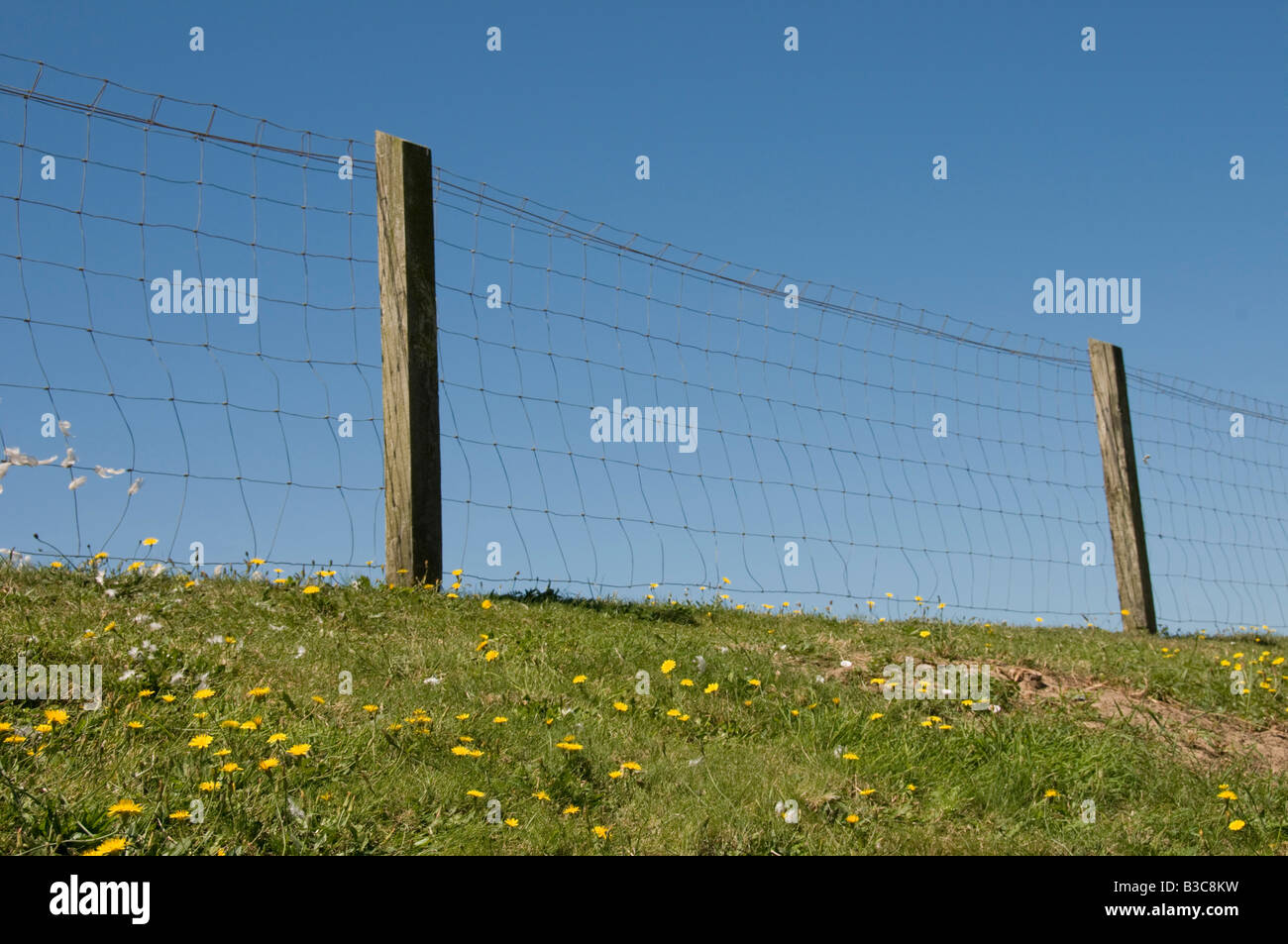 Fence on top of a grassy bank Stock Photo - Alamy