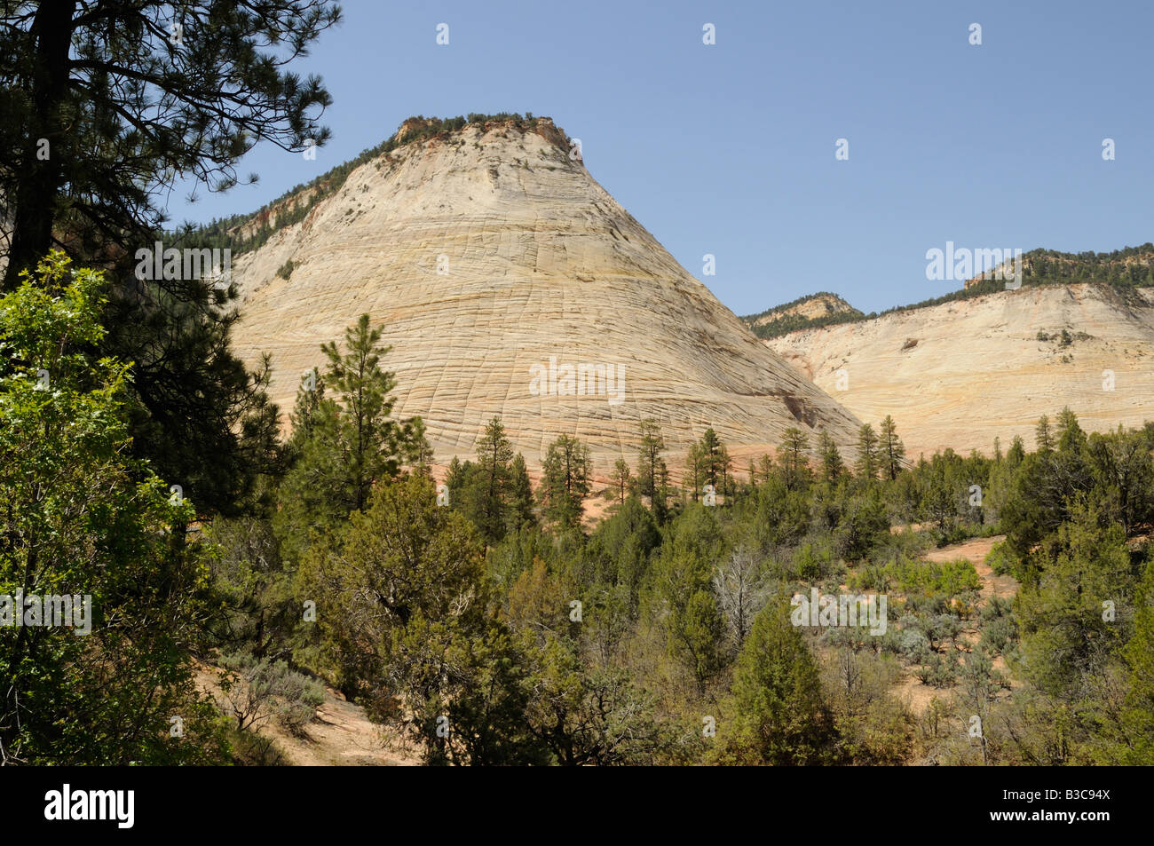 Checkerboard Butte in the beautiful Zion National Park in Utah USA ...