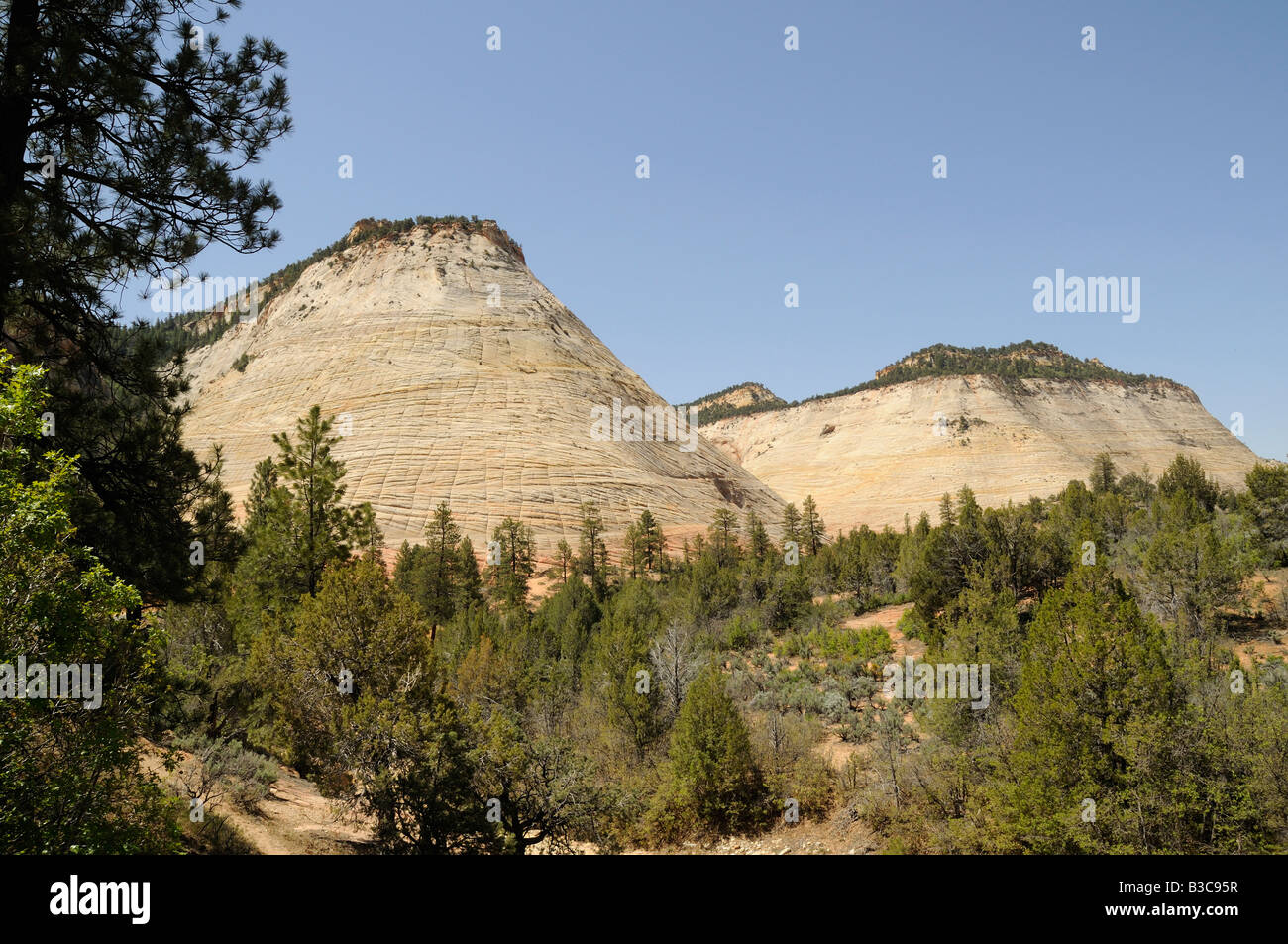 Checkerboard Butte in the beautiful Zion National Park in Utah USA ...