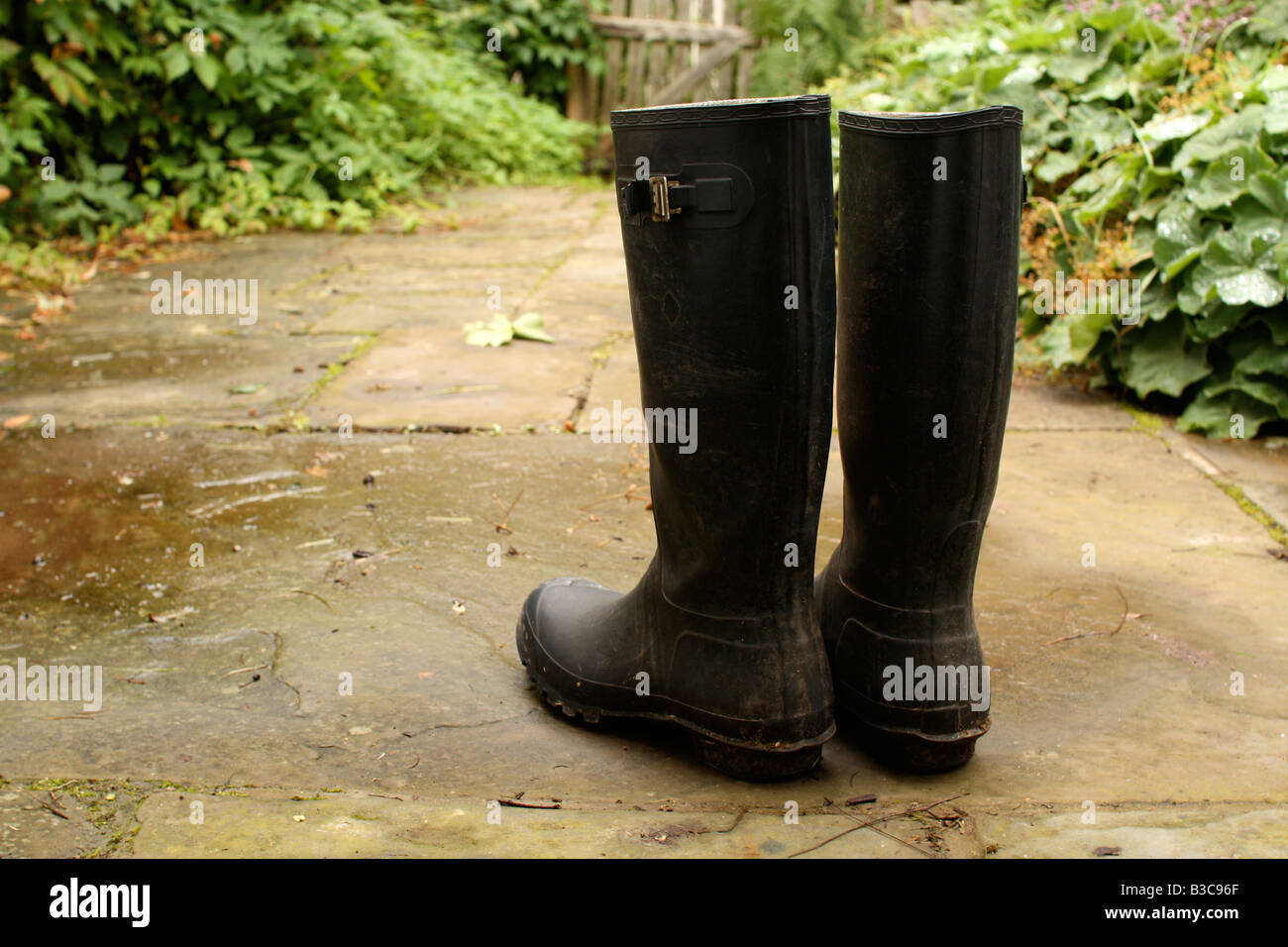 A pair of wellington boots, in a damp country scene Stock Photo - Alamy