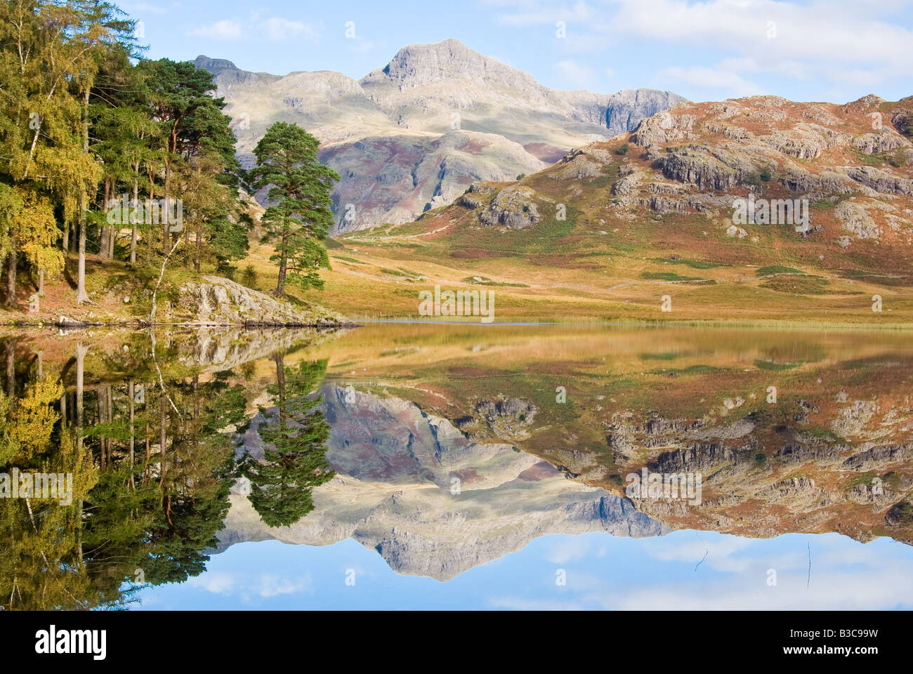 Reflections on Blea Tarn in the Lake District Stock Photo - Alamy