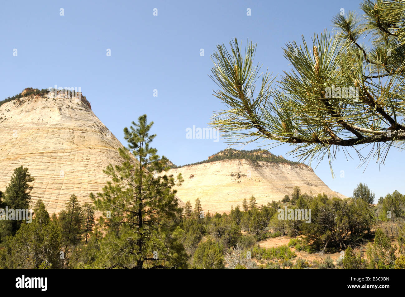 Checkerboard Butte in the beautiful Zion National Park in Utah USA ...