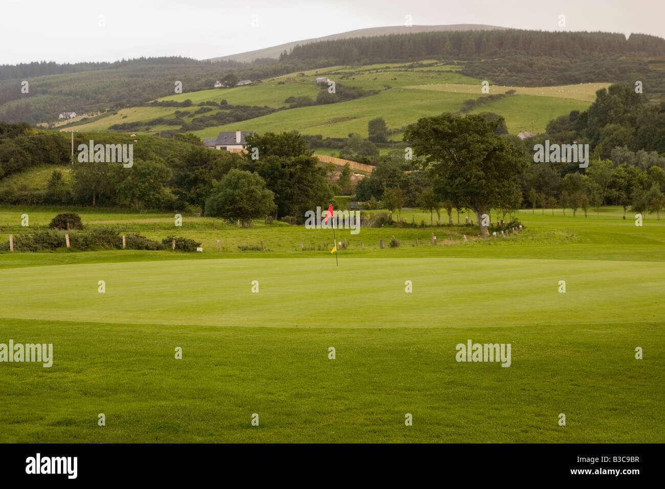 Fairway grass hi-res stock photography and images - Alamy