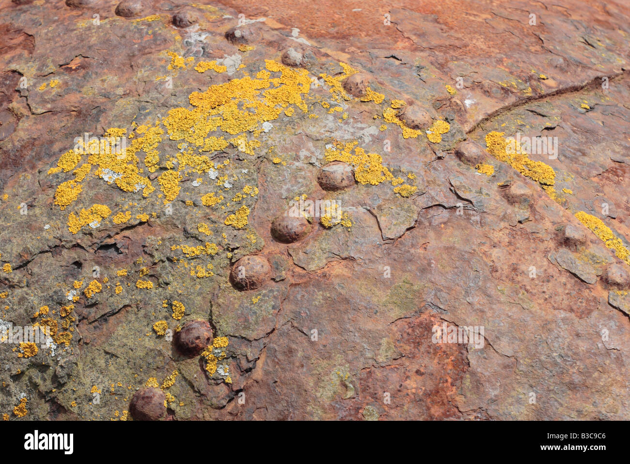 Detail of Rust and Lichen Encrusted 19c Iron Mooring Buoy Stock Photo ...