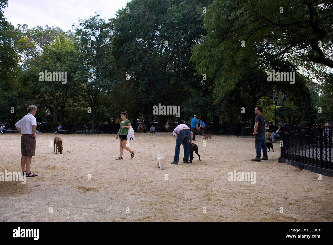 Dog and owner and park and new york hi-res stock photography and images ...