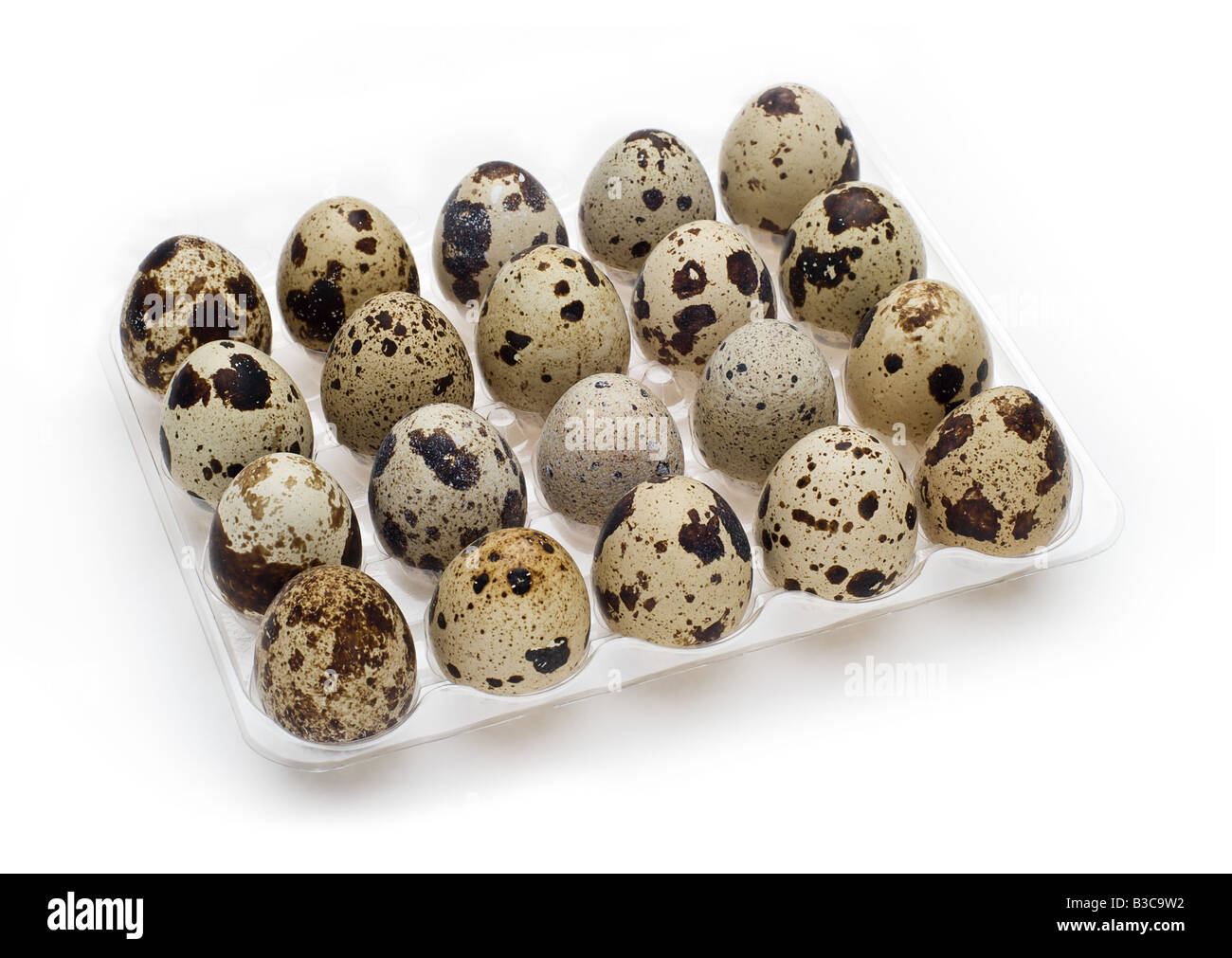 Horizontal colour photo Cut Out Stock Images & Pictures - Alamy