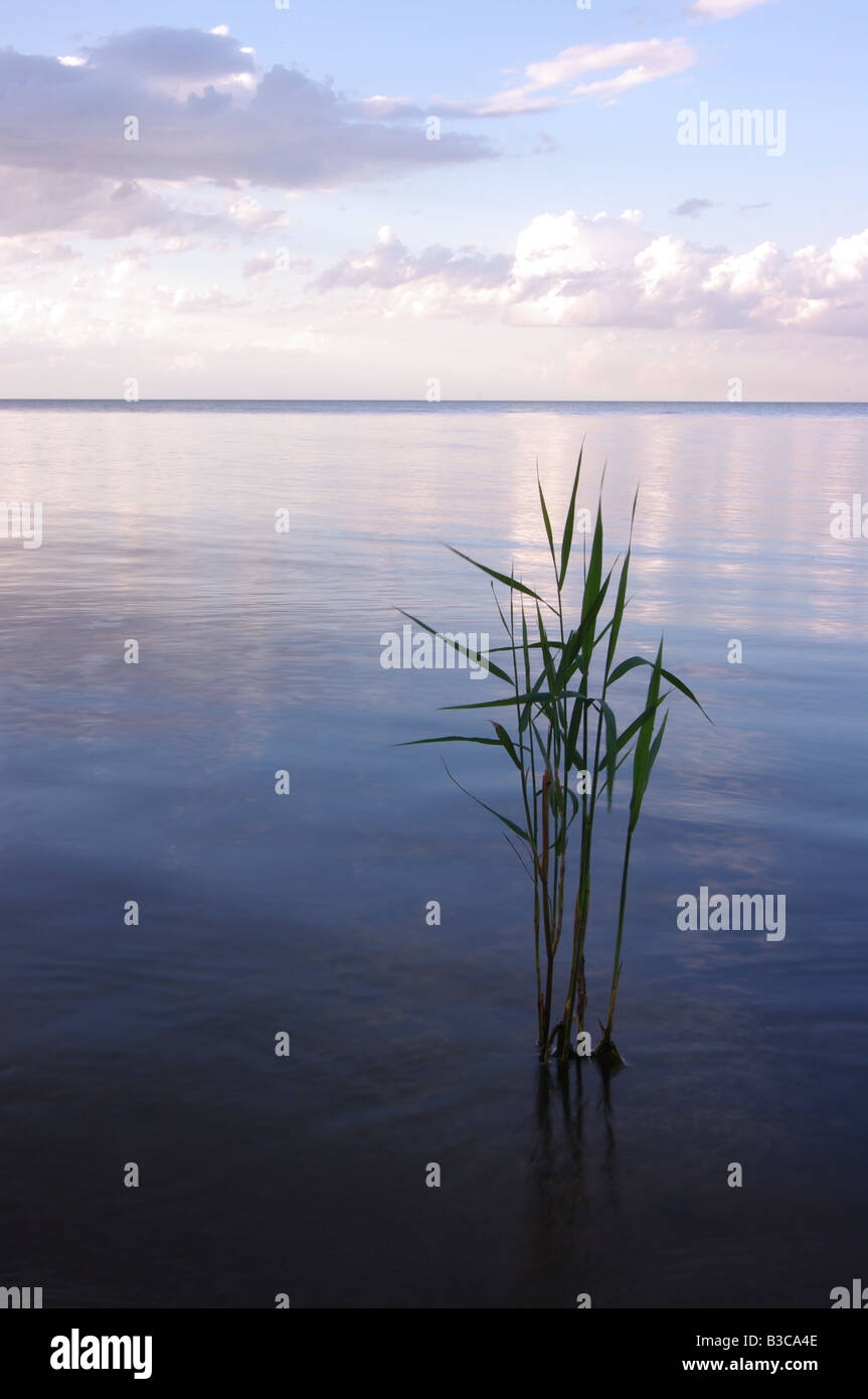 Ozero hi-res stock photography and images - Alamy