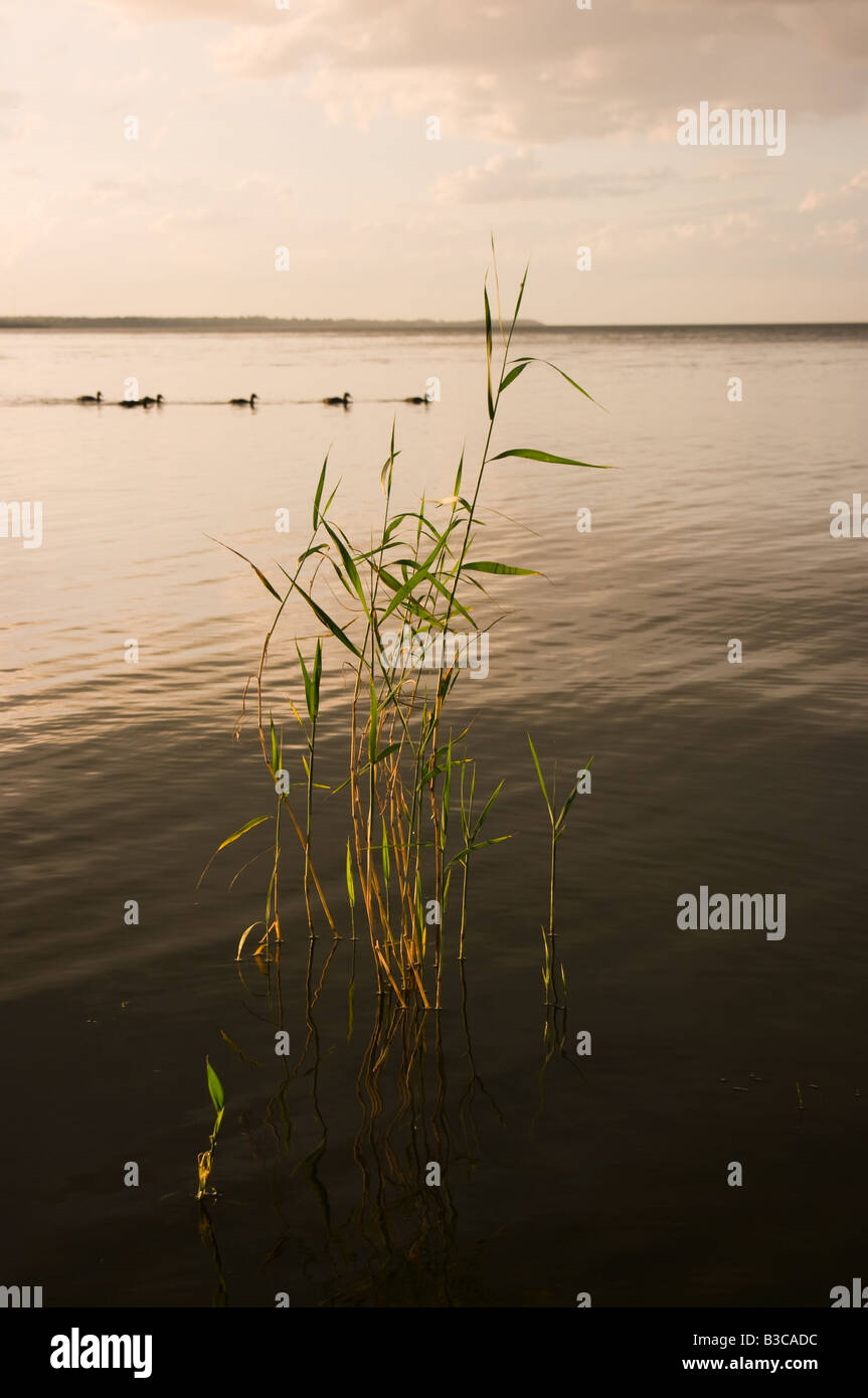 Ozero hi-res stock photography and images - Alamy