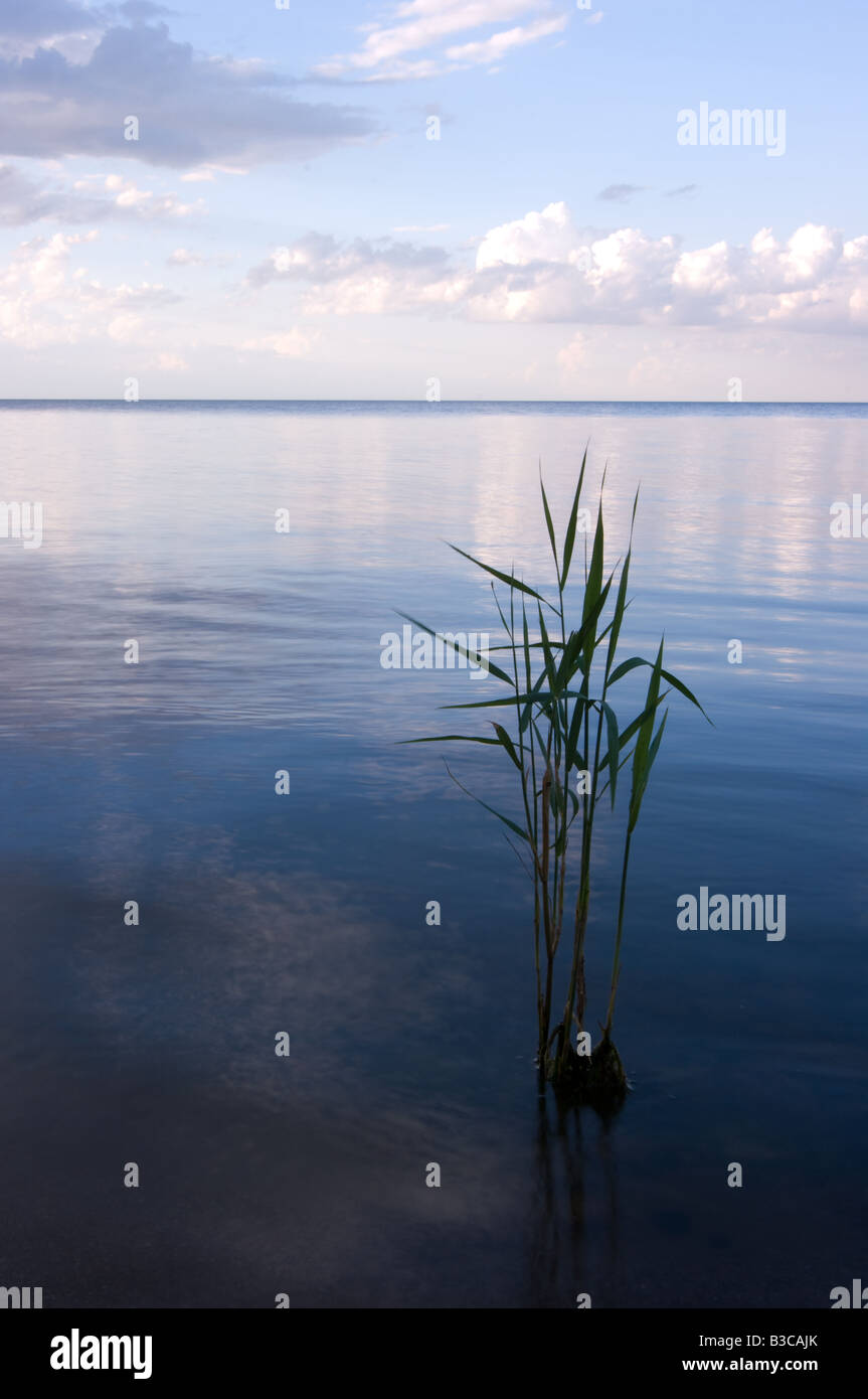 Ozero hi-res stock photography and images - Alamy