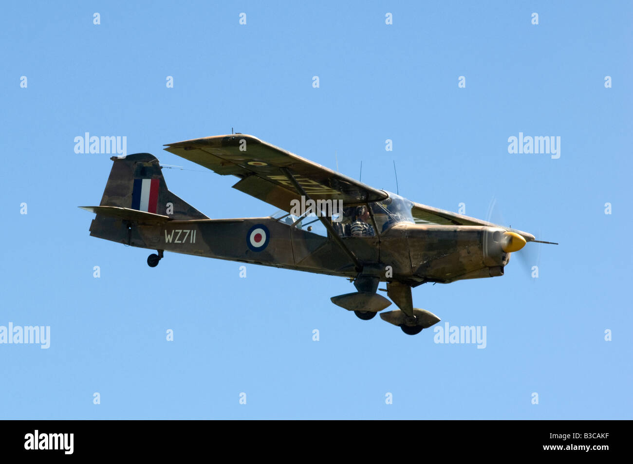 Auster hi-res stock photography and images - Alamy