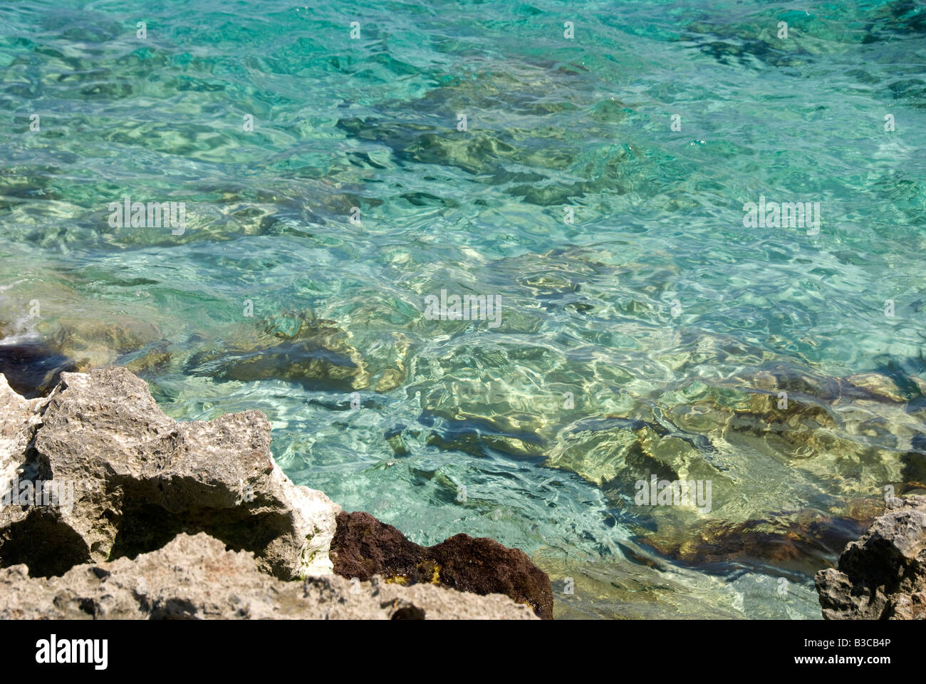Clear water edge hi-res stock photography and images - Alamy