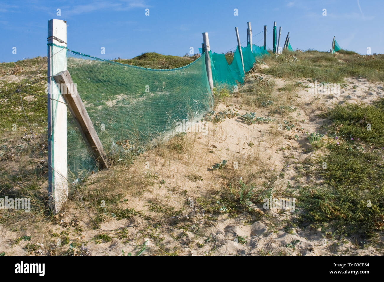 Sand trap fencing hi-res stock photography and images - Alamy