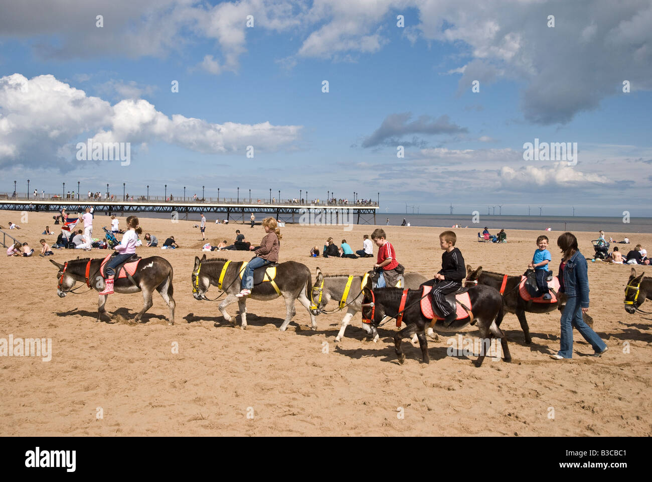 Donkey Beach High Resolution Stock Photography and Images - Alamy