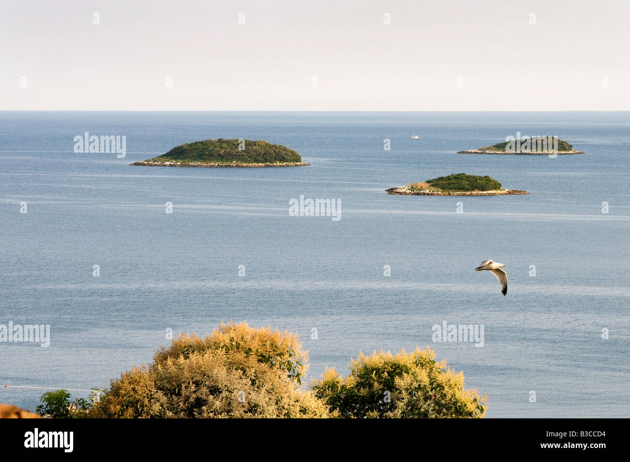 The Vrsar gulf panorama Stock Photo - Alamy